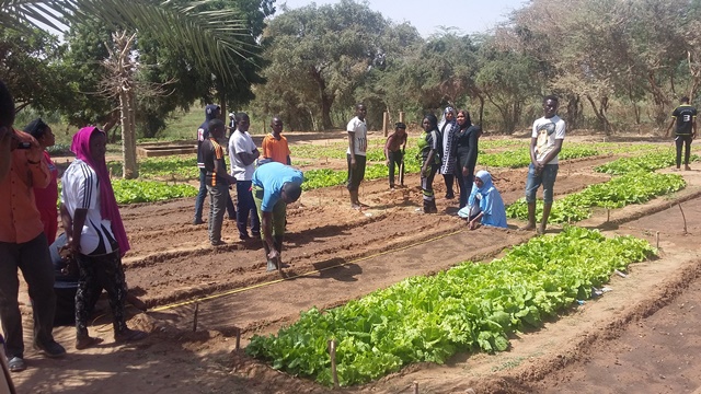 Visita al IPDR de Kollo